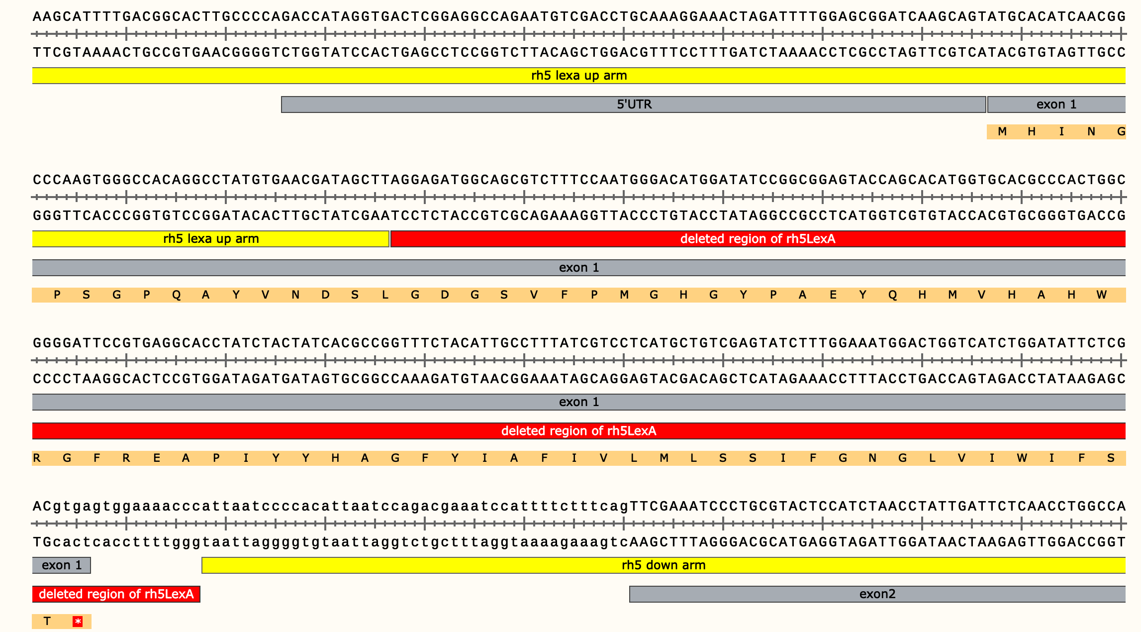 Index of flybase/associated_files/